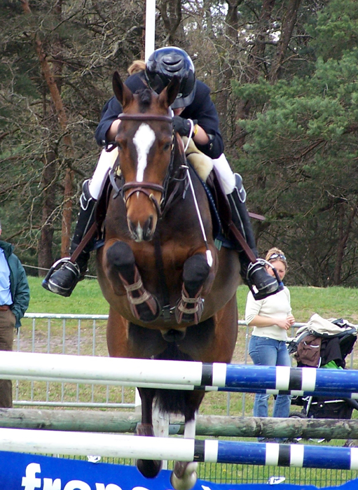 CSIP de Roggel (Pays-Bas), du 4 au 6 février 2011 - Poney As