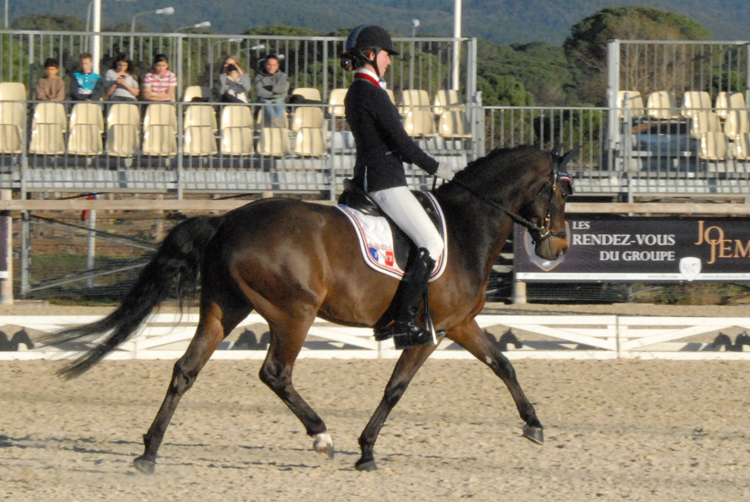 Les internationaux de fin d'hiver : CSIP et CDIP - Poney As