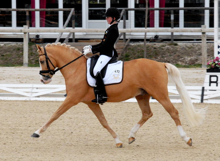 Les internationaux de fin d'hiver : CSIP et CDIP - Poney As