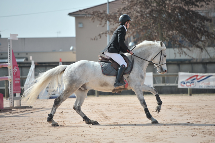 Tournée des As de CSO de Bourg-en-Bresse (01), 7 et 8 mars 2015 - Poney As
