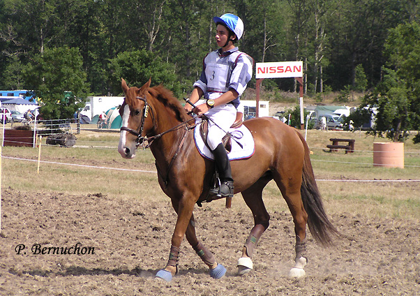 L'équipe de France de CCE est championne olympique et Astier Nicolas ...