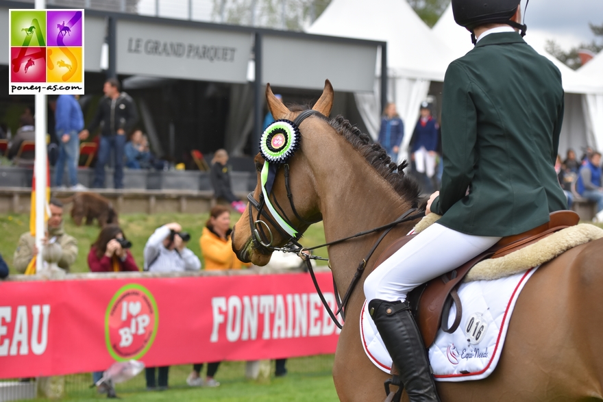 BIP 2017 – 42 jeunes poneys sur le Grand Parquet ! - Poney As