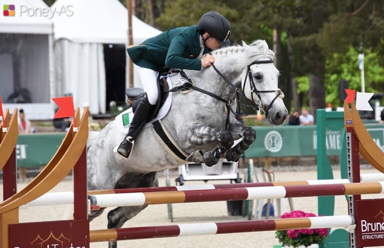 Victoire de Murville et Fanfan du Buhot s’offrent le Grand Prix du CSIP ...