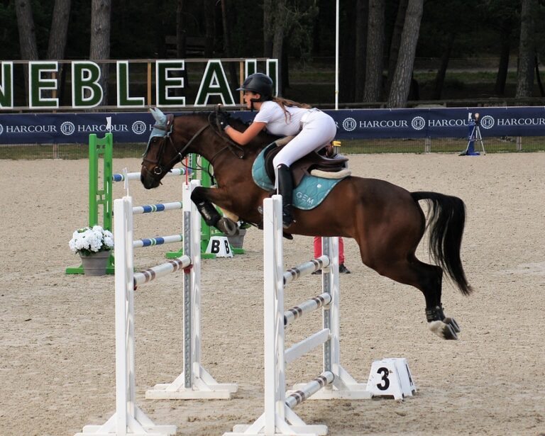 Belle victoire de Myla Moulin Teste et D’Zeus des Chesnaies dans l'As ...