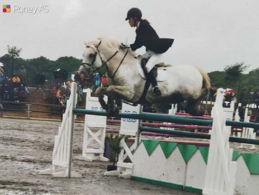 Dexter Leam Pondi : l’histoire d’une légende - Poney As