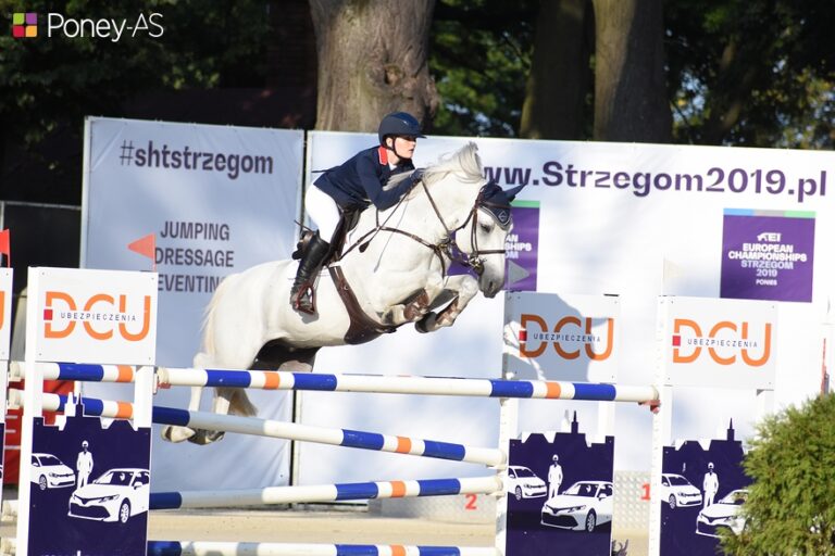 Rexter d’Or prend sa retraite sportive - Poney As